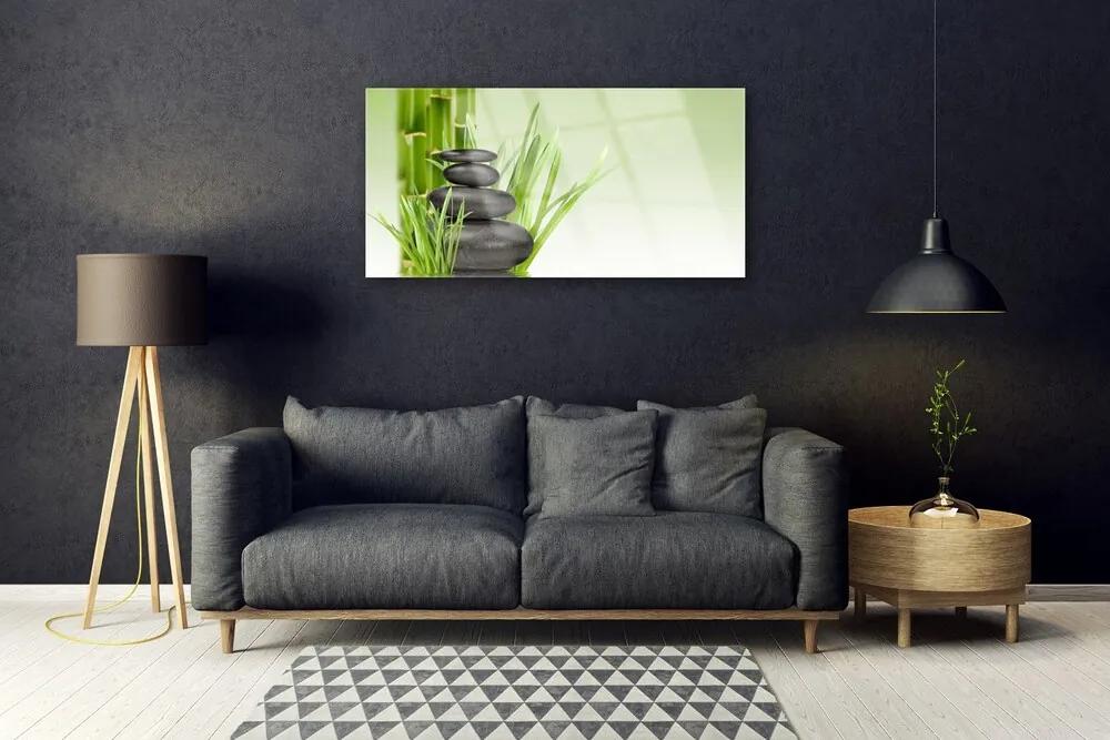 Obraz na skle Bambus Tráva Rostlina Příroda 120x60 cm