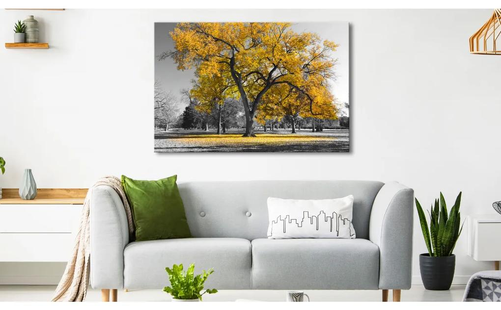 Malvis ® Obraz podzim v parku - žlutý Velikost (šířka x výška): obdélník - 90x60 cm
