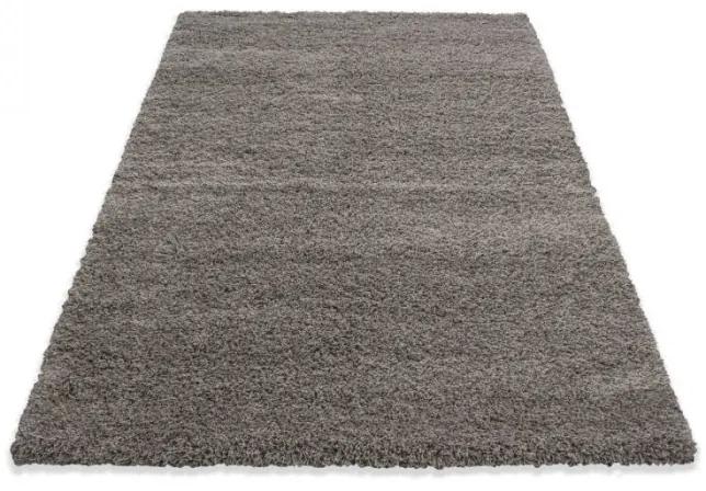 Chlupatý kusový koberec Dream Shaggy 4000 béžový Typ: 60x110 cm | BIANO
