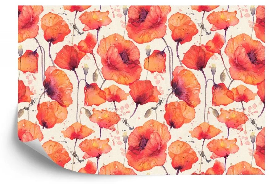 Fototapeta Poppies Vintage Omyvatelný vlies 368x254