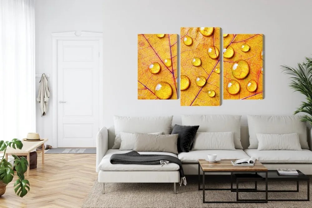 Vícedílný obraz Kapky Vody Na Podzimní Listí Makro Nedostatek Nedostatek Plátno Canvas 60x40