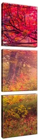 Tištěný obraz Podzimní příroda 30x90cm 2510A_3V