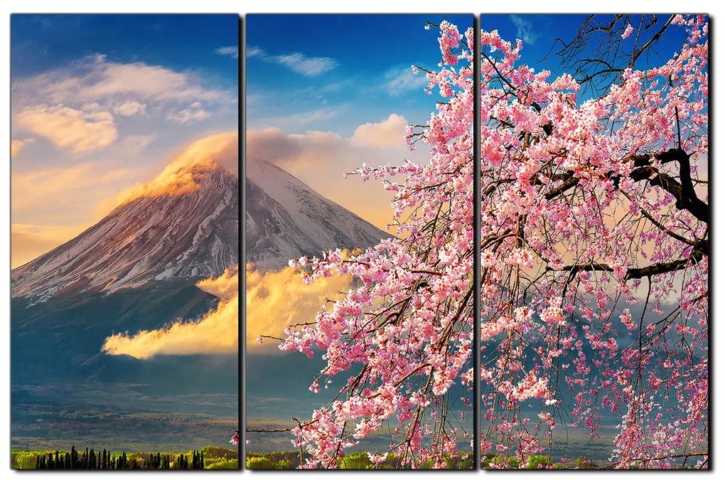 Obraz na plátně - Hora Fuji a třešňové květiny na jaře 1266B (105x70 cm)