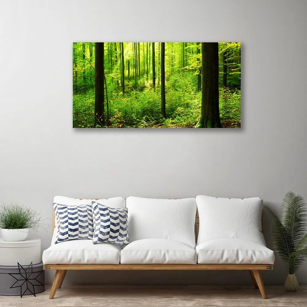 Obraz na plátně Les Zeleň Stromy Příroda 125x50 cm