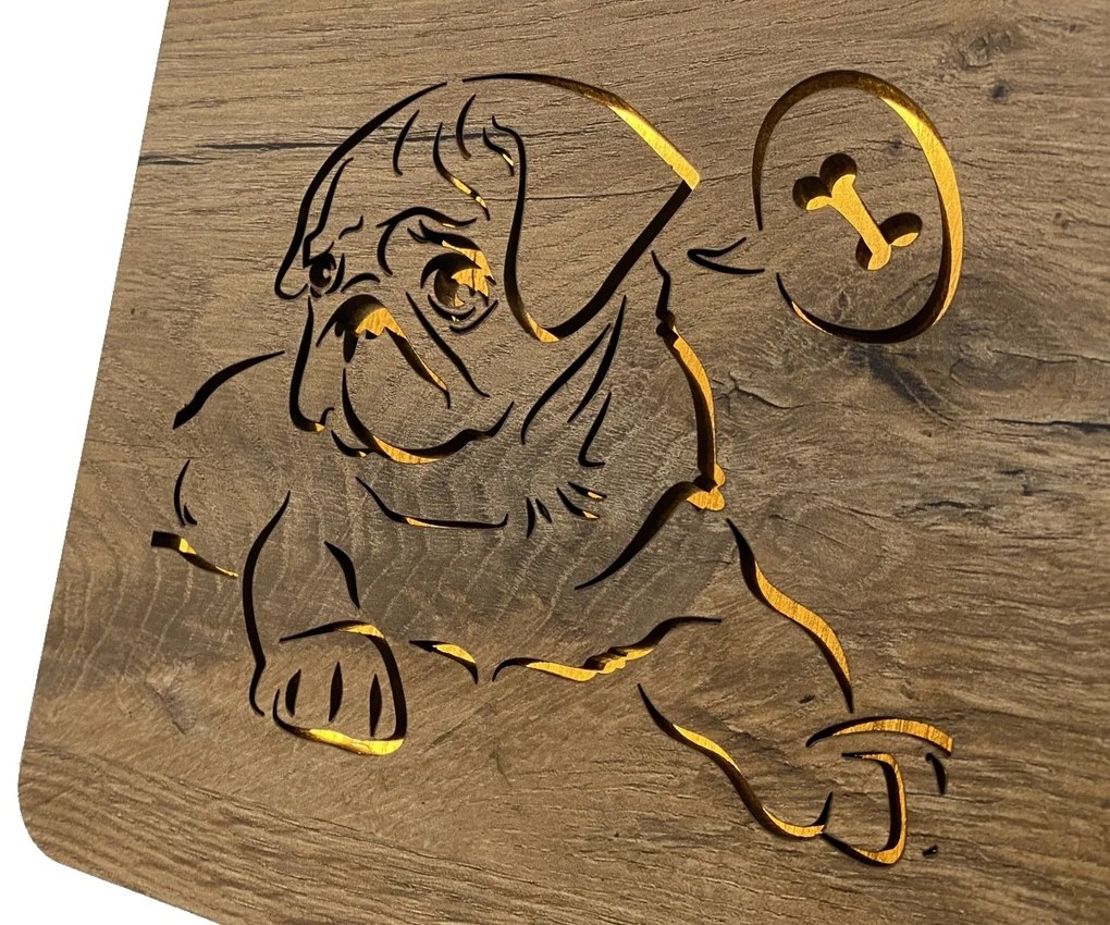 Li-Go "Mops" lampa 19x19cm provedení povrchu: dub světlý
