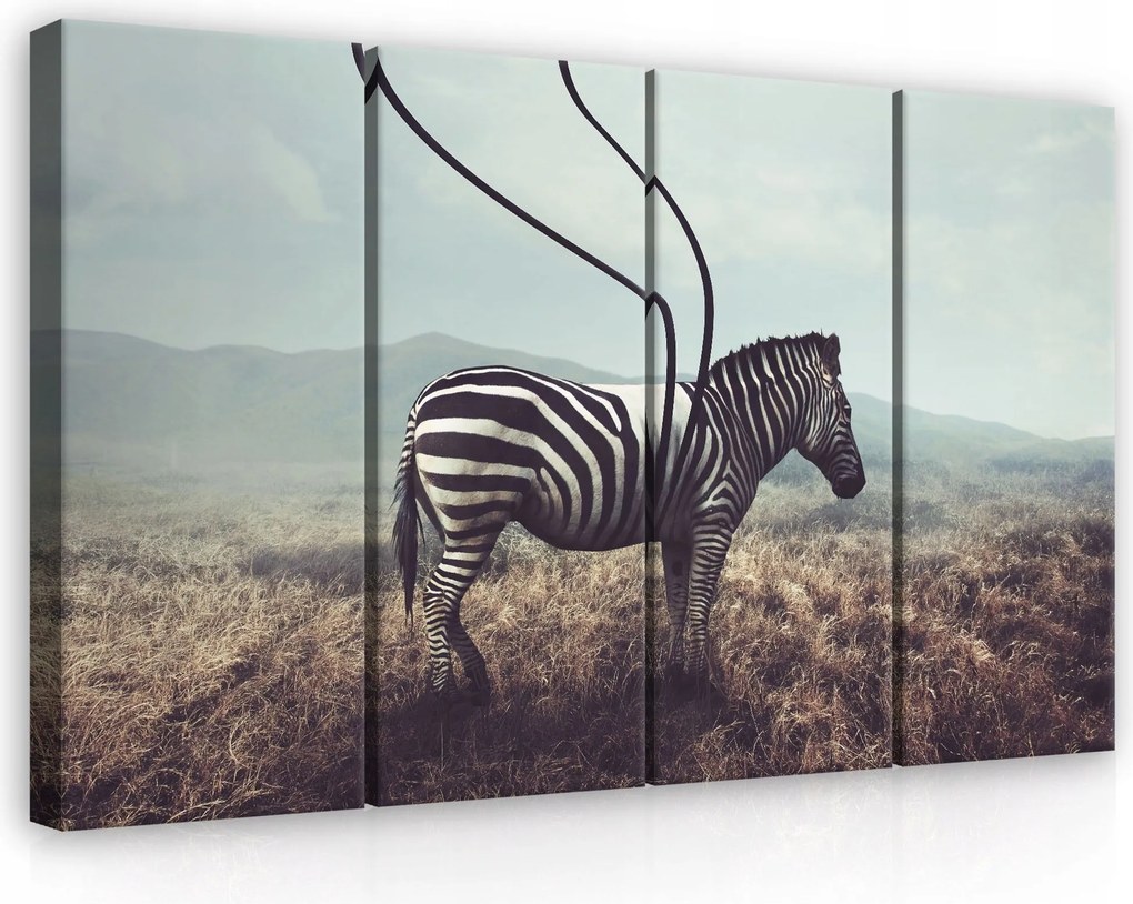Obraz 120x80 Zebra příroda surrealismus abstrakce step osamělost prostor
