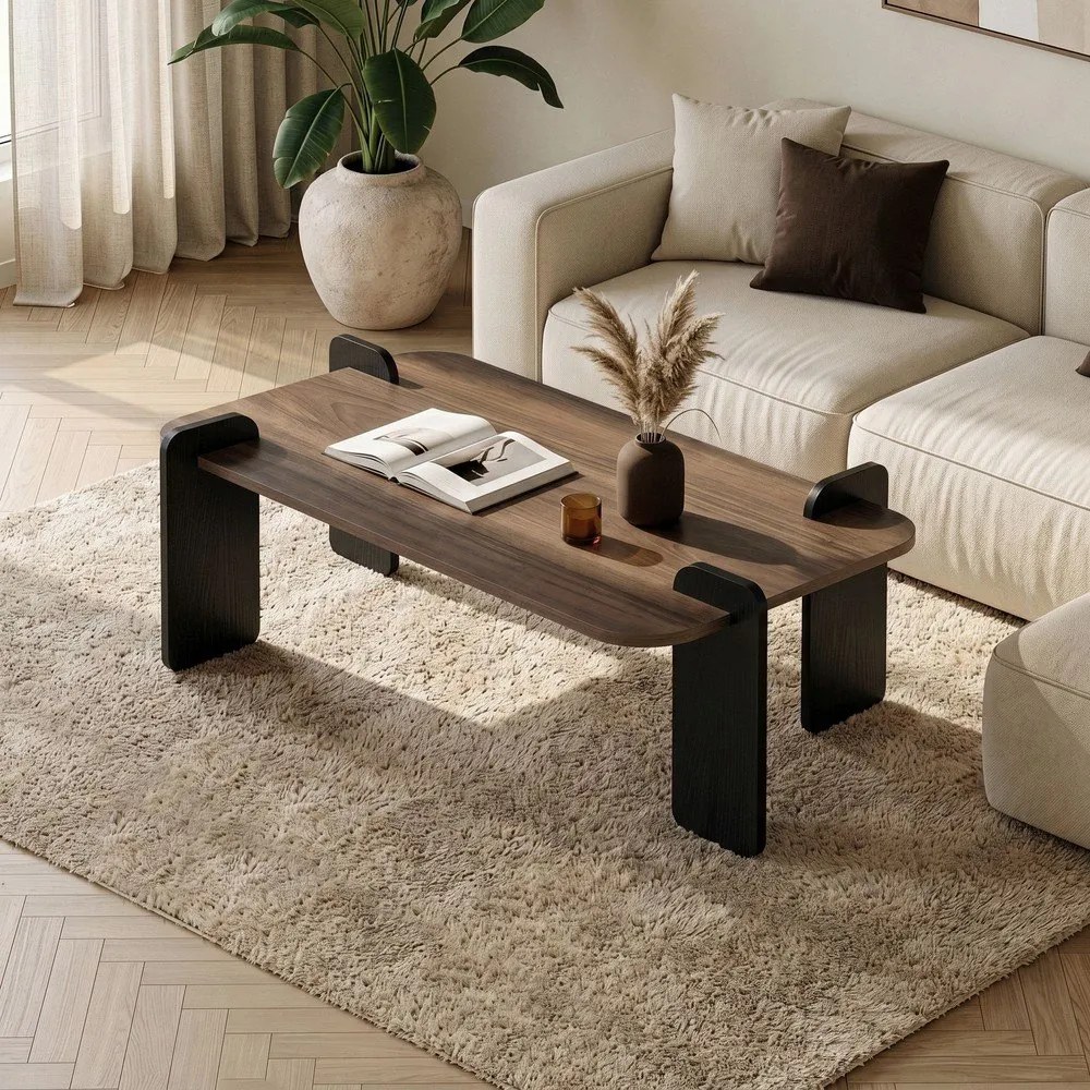Hnědý konferenční stolek 60x120 cm Renard – Nordure