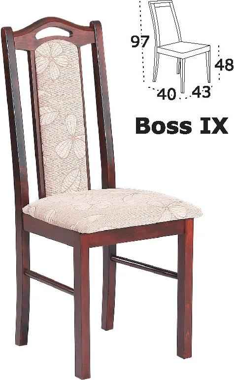 Jídelní a kuchyňská židle Boss 9 (IX)