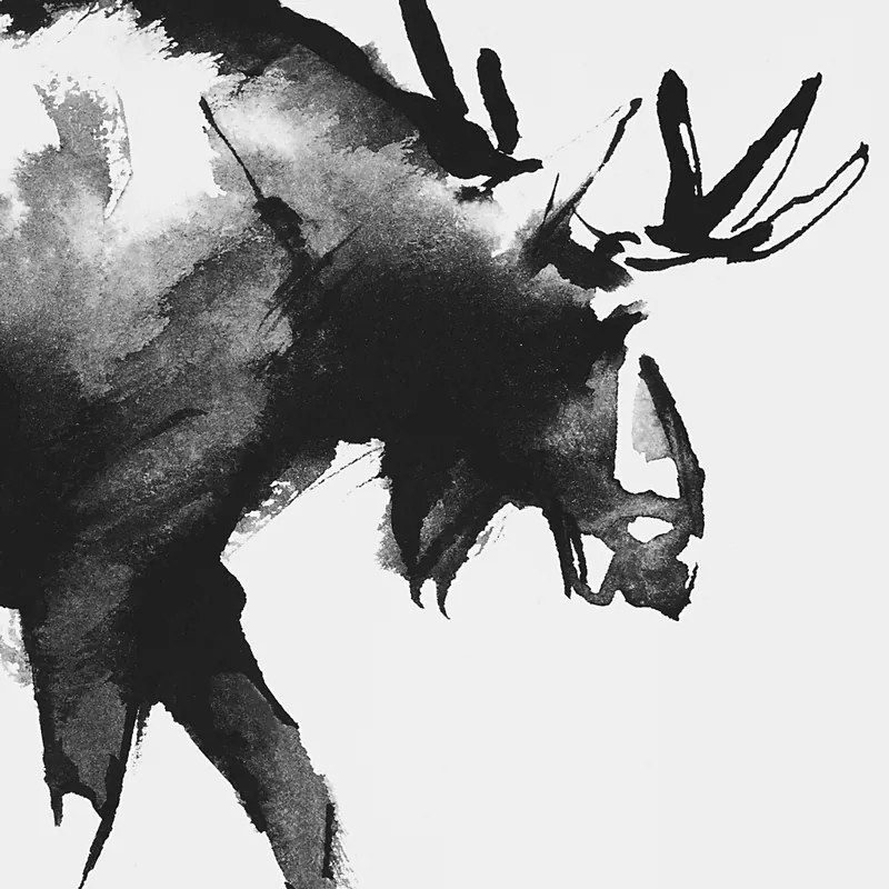 Plakát Elk 70x50