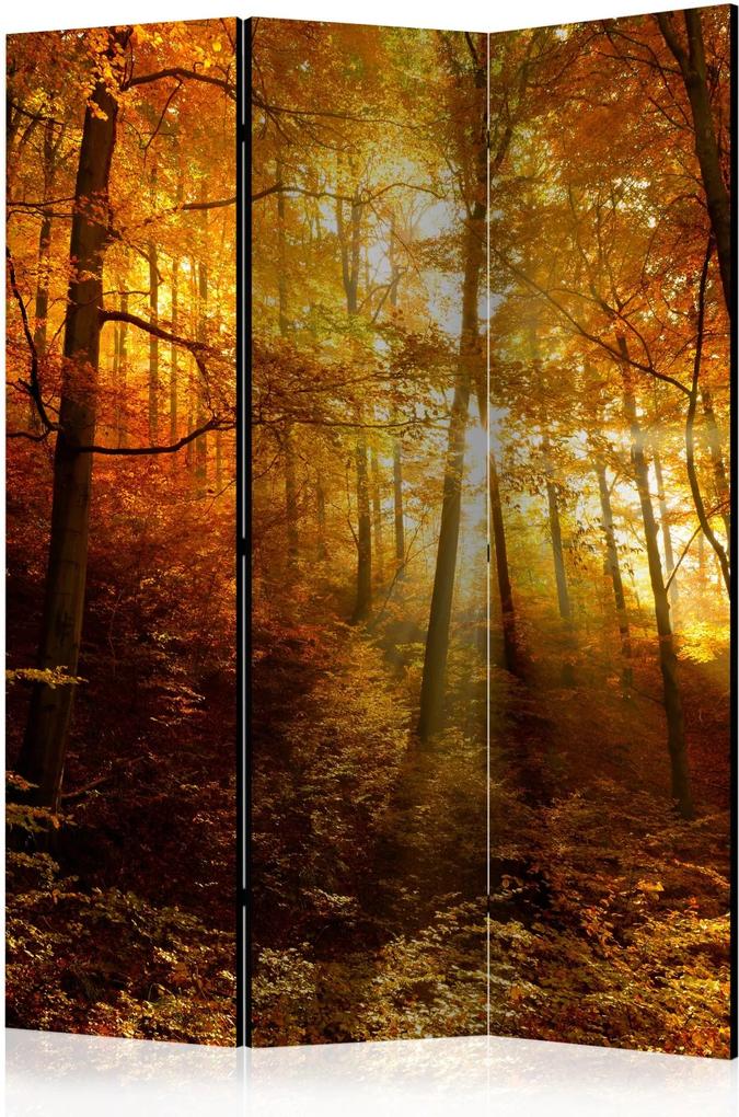 Paraván - Autumn Illumination [Room Dividers] 135x172