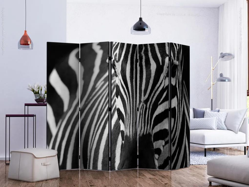 Pokojová zástěna Bílé pruhy na černém II (5dílný) - zebra v neobvyklém rámu