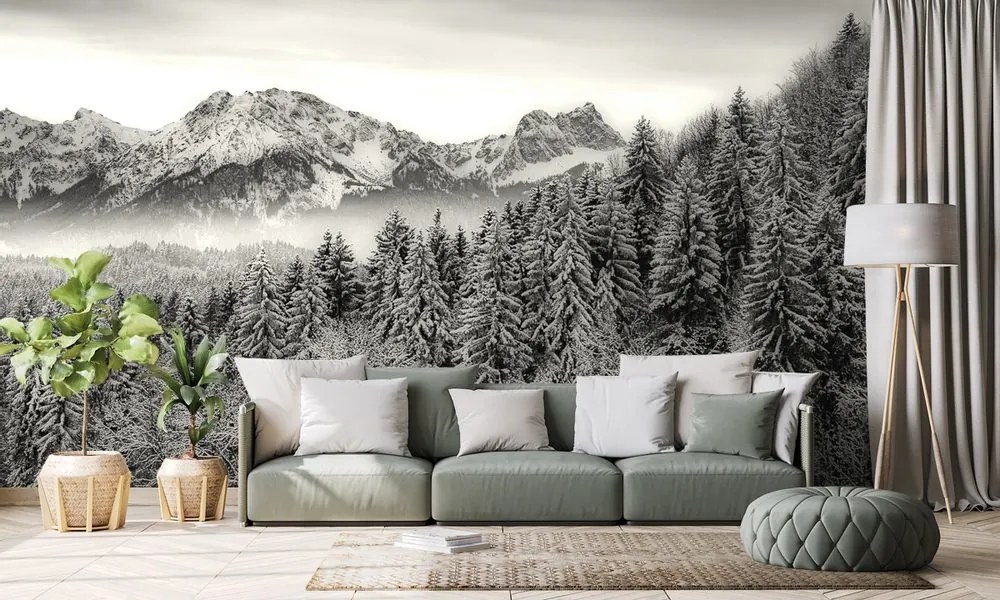 Samolepící fototapeta černobílé zmrzlé hory - 375x250 cm