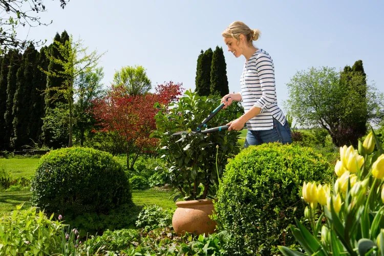 © 2024 - 2025 GARDENA Nůžky na živý plot EasyCut