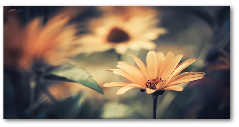 Wallmuralia Foto obraz akrylový na stěnu Jarní květ 100x50