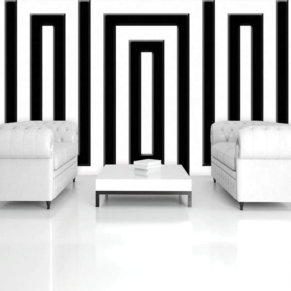 Fototapeta - Černý a bílý labyrint (254x184 cm)