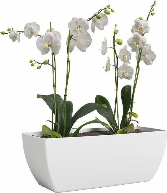 Truhlík z recyklovaného plastu 30 cm Siena – Artevasi