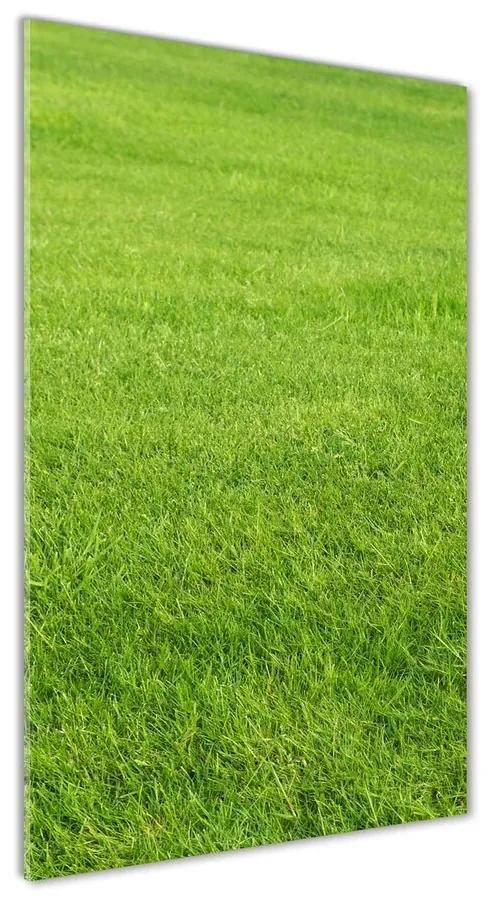 Wallmuralia Foto obraz akrylový do obýváku Zelená tráva 60x120 cm
