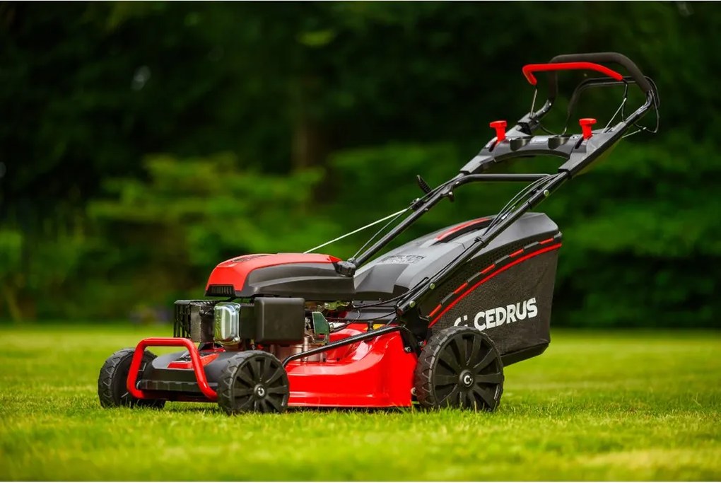 Hahn & Sohn Cedrus Sekačka benzínová KS53S s pojezdem HP16108