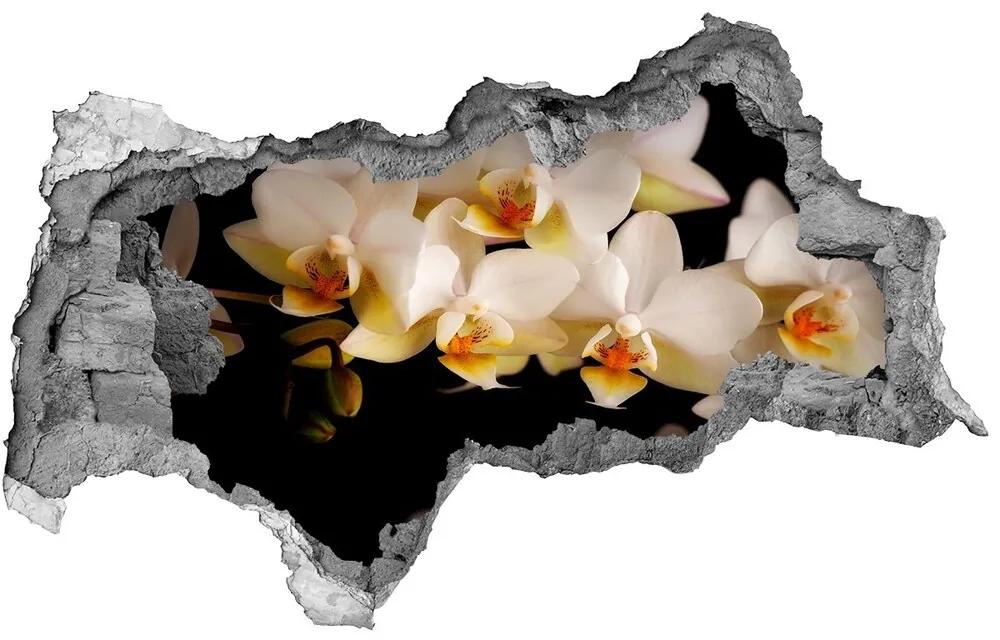 Wallmuralia Nálepka fototapeta 3D výhled Orchidej 95x73 cm