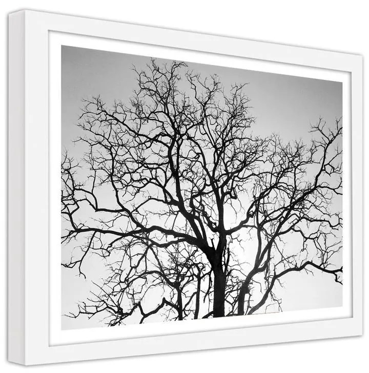 CARO Obraz v rámu - The Crown Of The Tree 40x30 cm Bílá