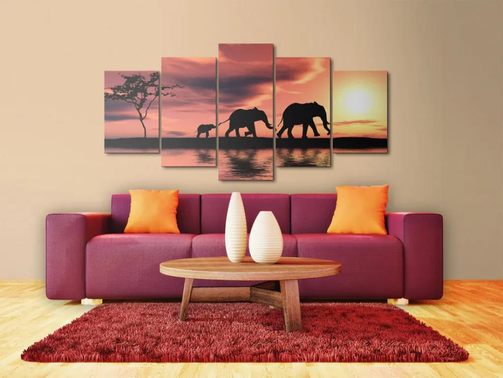Obraz Rodina afrických slonů