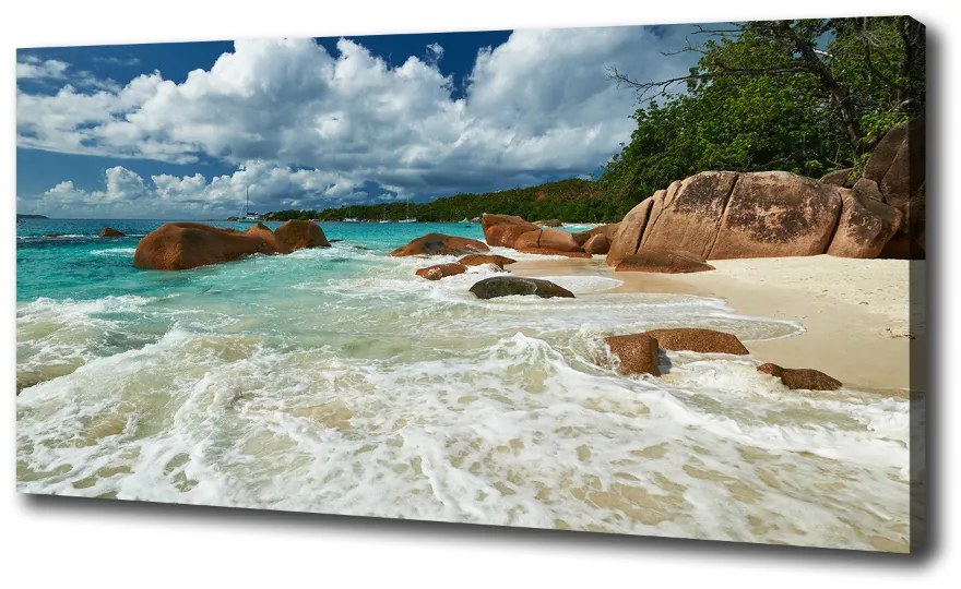 Wallmuralia Foto obraz canvas Pláž Seychely 100x50