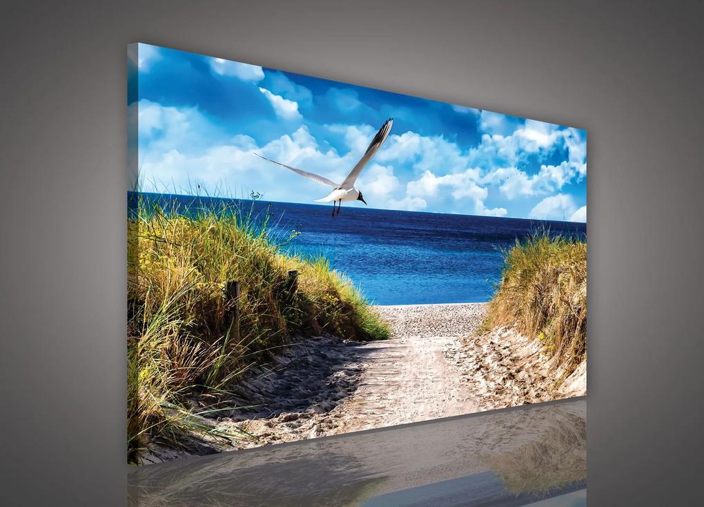Postershop Obraz na plátně: Cesta na pláž (7) - 75x100 cm