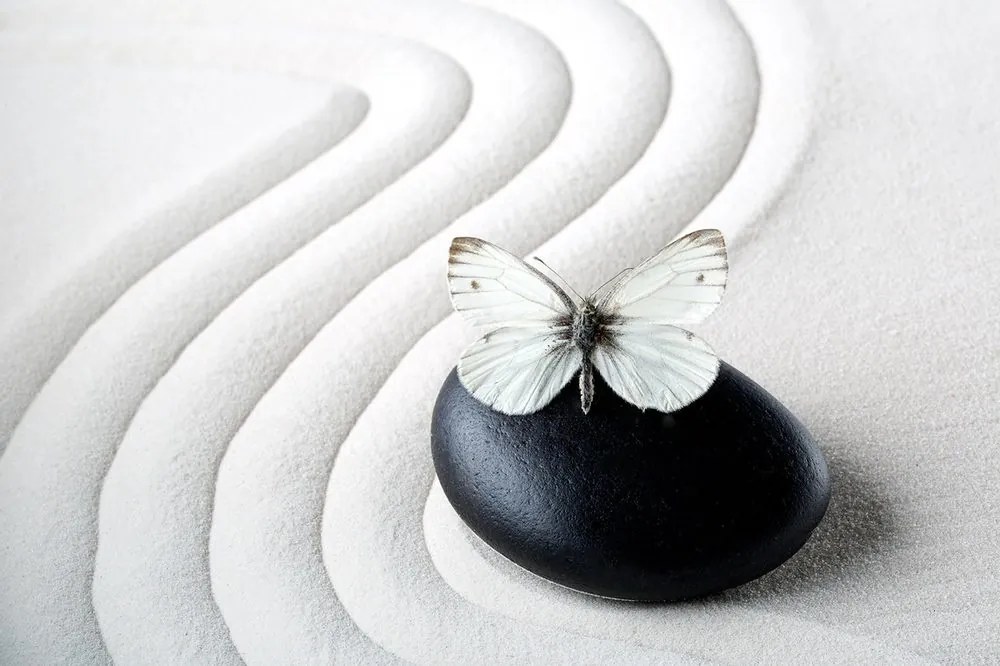 Samolepící tapeta Zen kámen s motýlem - 150x100 cm