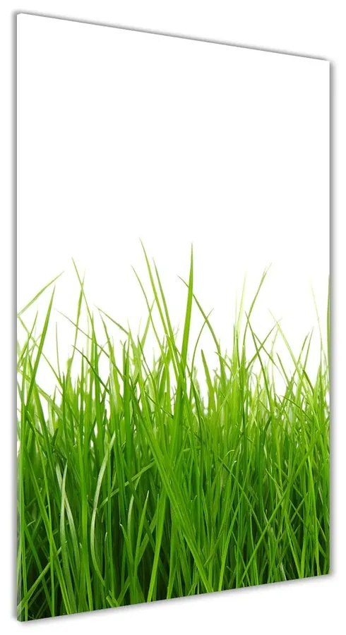 Wallmuralia Foto obraz akrylový do obýváku Zelená tráva 60x120 cm