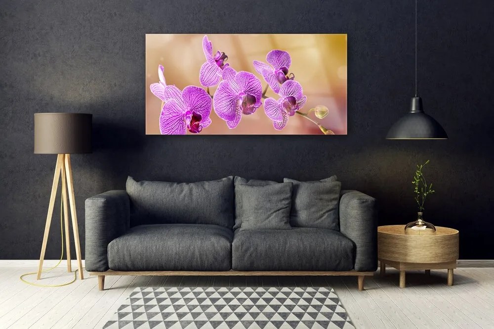 Plexisklo-obraz Orchidej Výhonky Květiny Příroda 120x60 cm