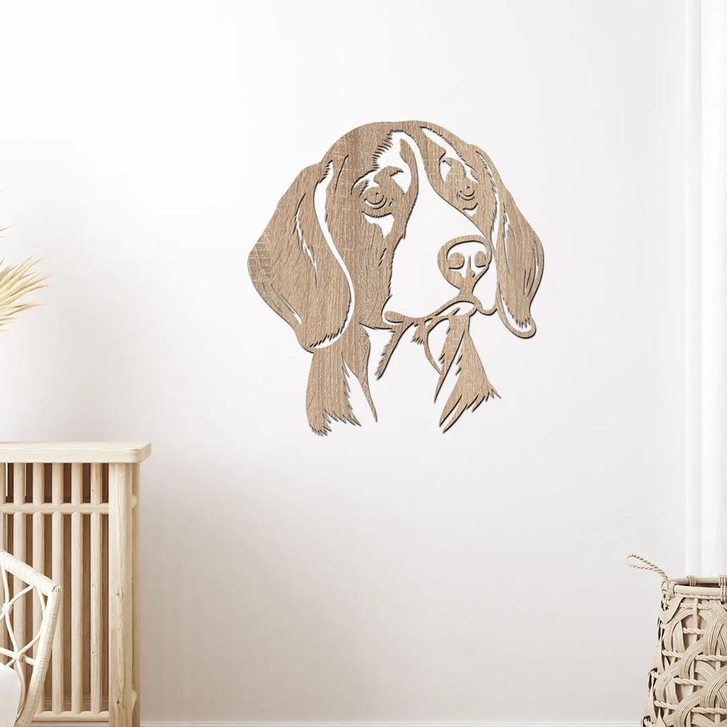 dřevo života Dřevěný obraz psa Bígl Rozměry (cm): 37x40, Barevný vzor: Borovice - limitovaná edice
