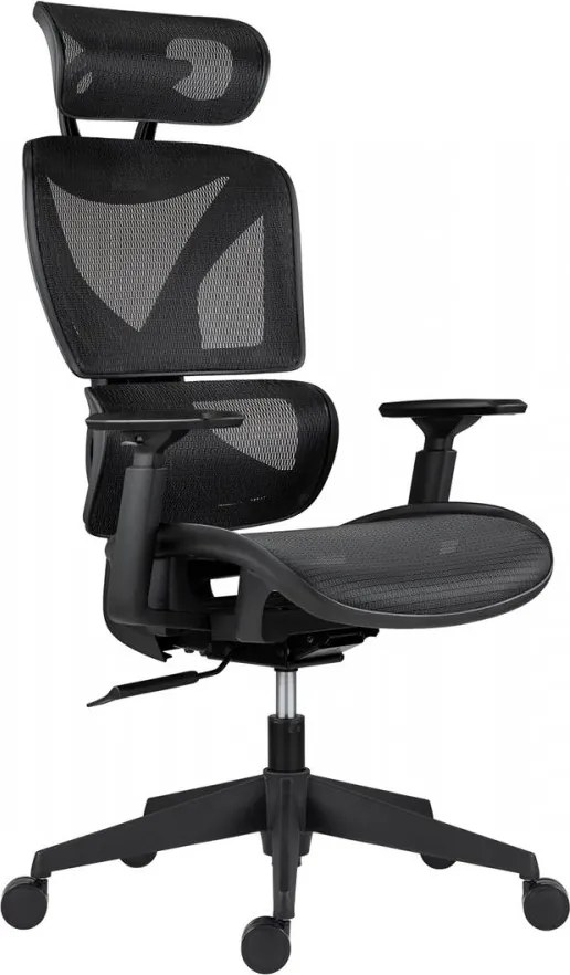 Antares Kancelářská ergonomická židle ESTER — síť, černá, nosnost 130 kg