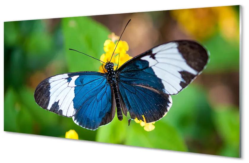 akrylový obraz Barevný motýl na květiny 120x60 cm