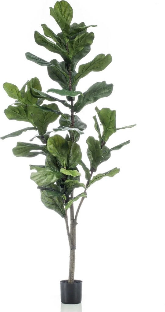 Ficus Lyrata umělý V 150 cm