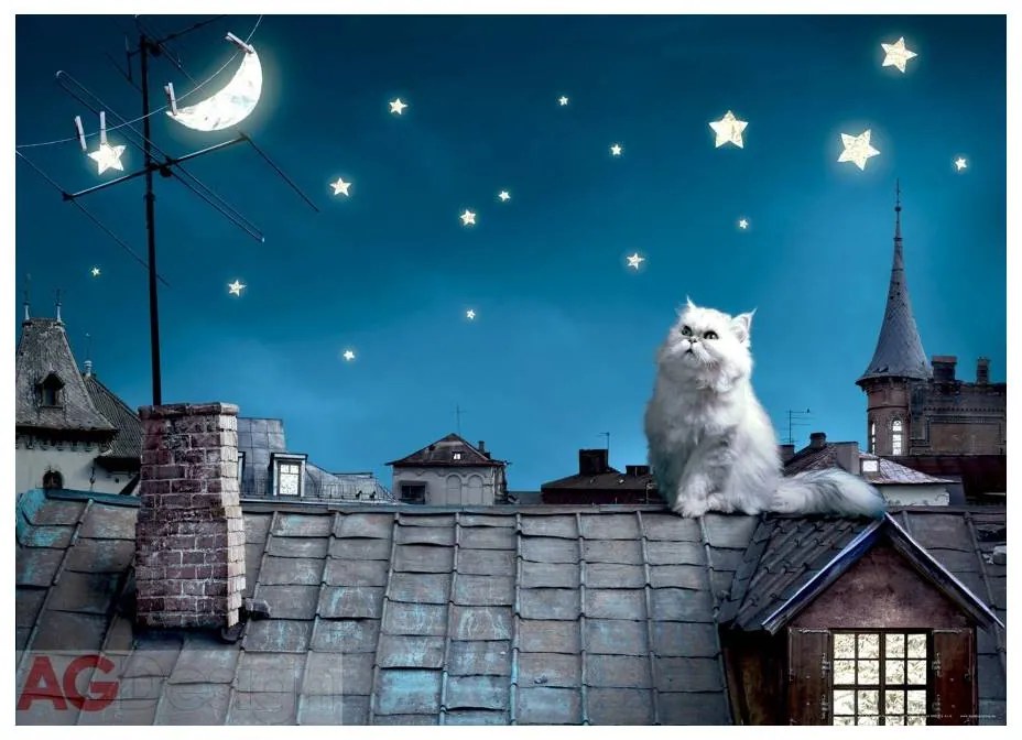 Fototapeta vliesová jednodílná Kočka na střeše
