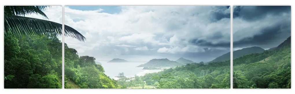 Obraz - Seychelská jungle (170x50 cm)