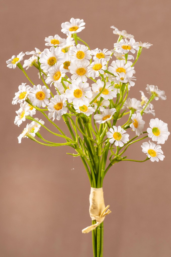 Paramit MINI DAISY Aranžovací kytička sedmikrásek bílá 27 cm