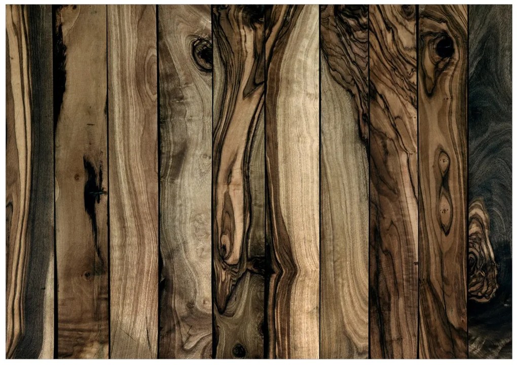 Fototapeta - Olive Wood