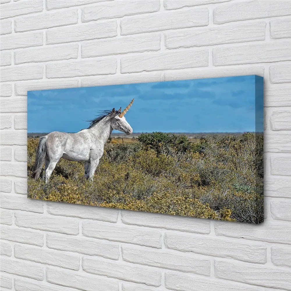 Obrazy na plátně Unicorn Golf 100x50 cm