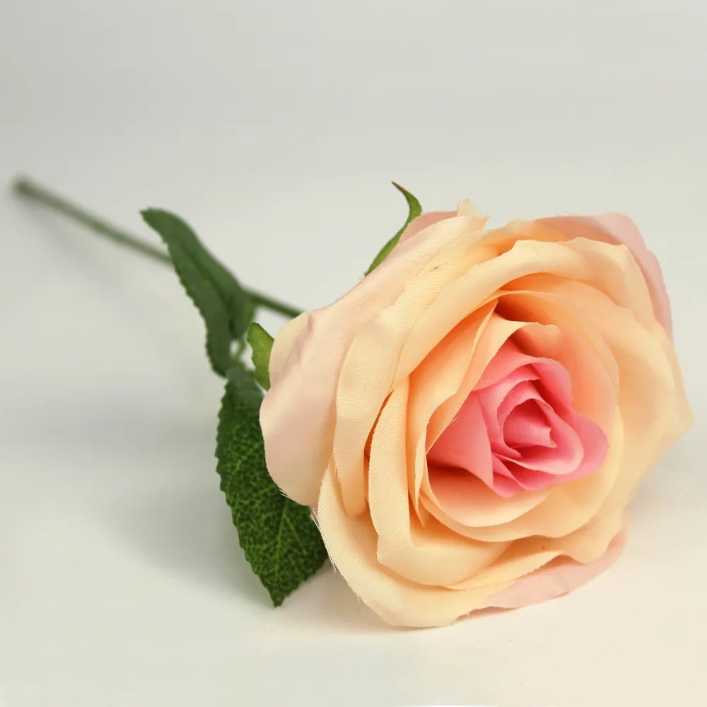 Růže sv. růžová 1ks / 30cm