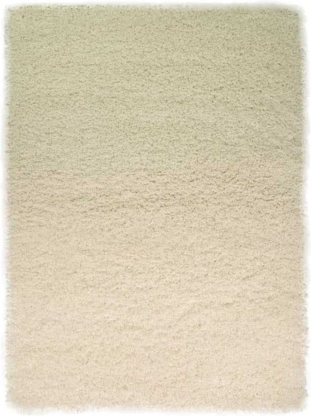 Béžový koberec Flair Rugs Cariboo Ivory, 120 x 170 cm