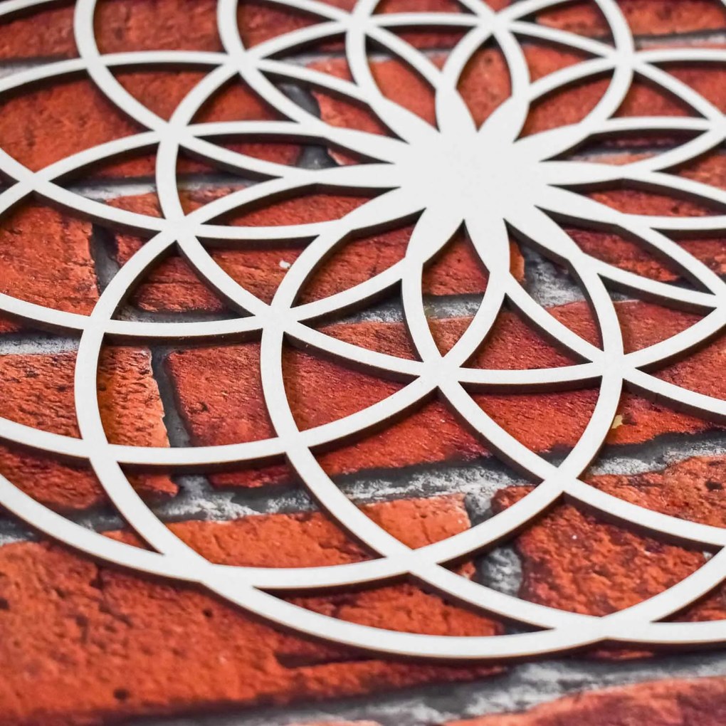 DUBLEZ | Posvátná geometrie - Symbol květ života | Obraz