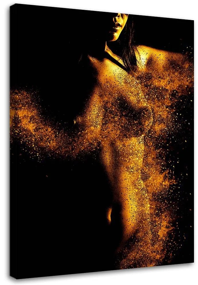 Gario Obraz na plátně Akt ve zlatém prachu Rozměry: 40 x 60 cm