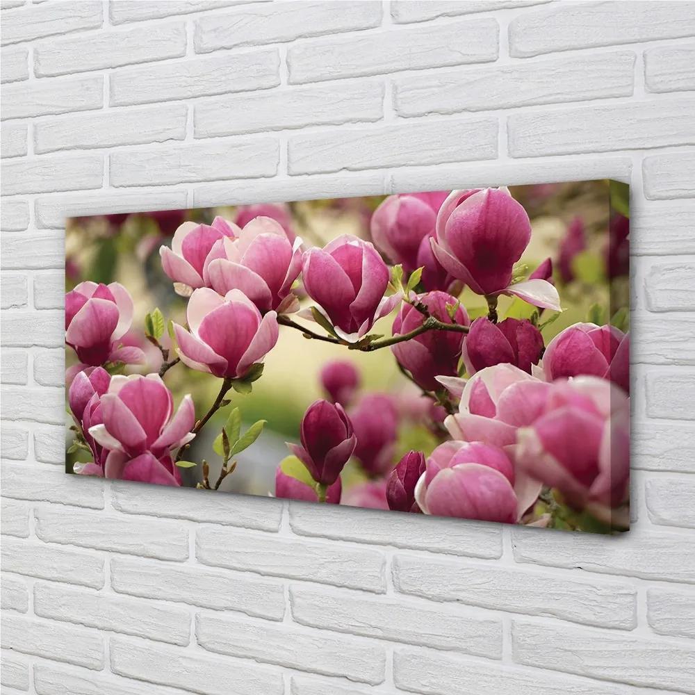 Obrazy na plátně květy 120x60 cm