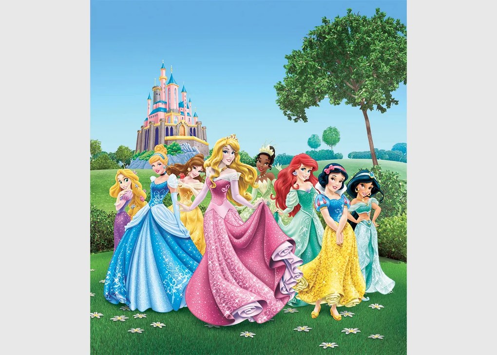 Dětská vliesová fototapeta na zed' Princezny, Disney | 180 x 202 cm | DFTDNXL 5112