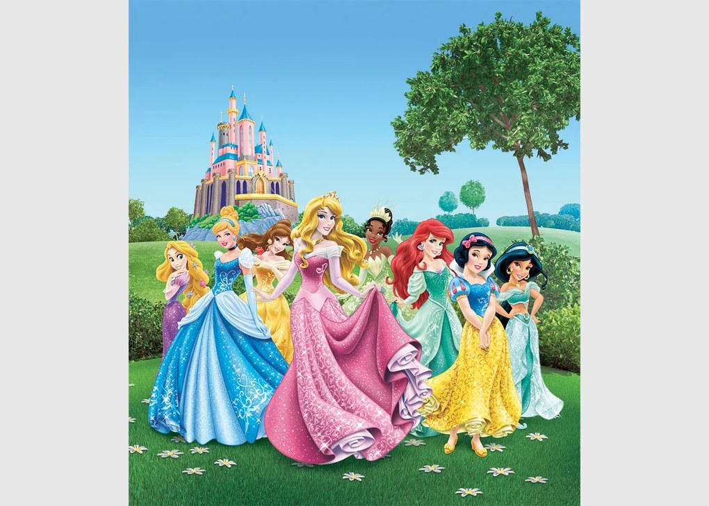 Dětská vliesová fototapeta na zed' Princezny, Disney | 180 x 202 cm | DFTDNXL 5112