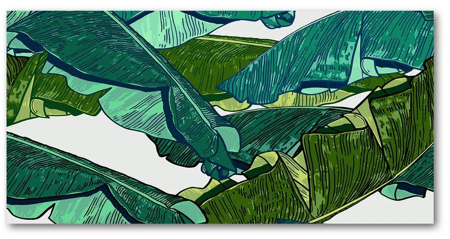 Wallmuralia Foto obraz akryl do obýváku Listí banánovníku 140x70 cm