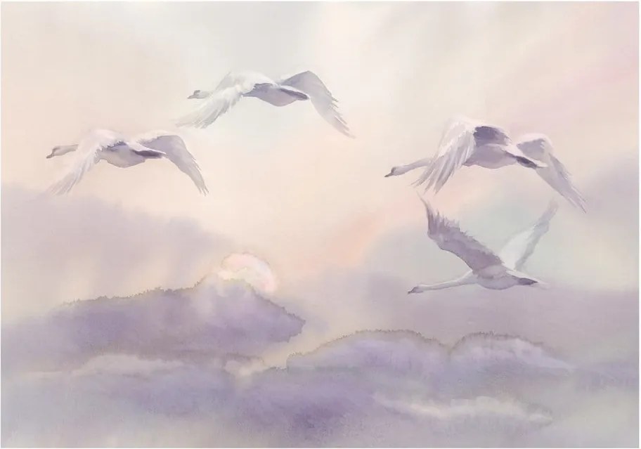 Velkoformátová tapeta Bimago Flying Swans, 400 x 280 cm