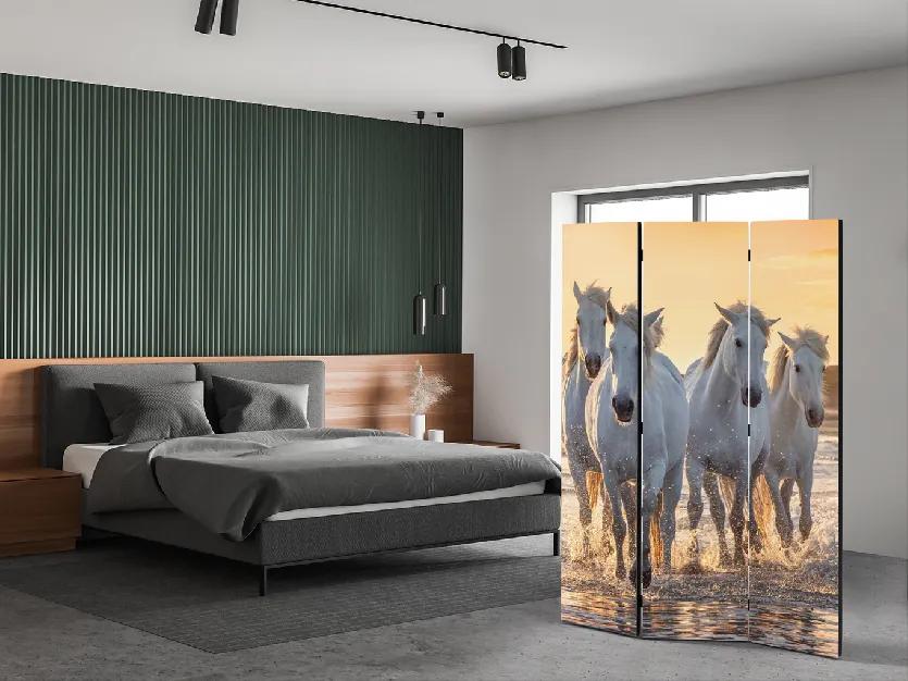 Liox Paraván běžící koně Rozměr: 135 x 180 cm