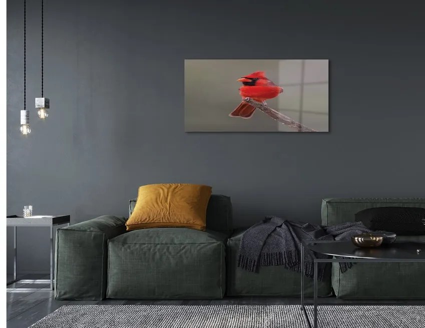 Obraz na skle Red papoušek na větvi 125x50 cm